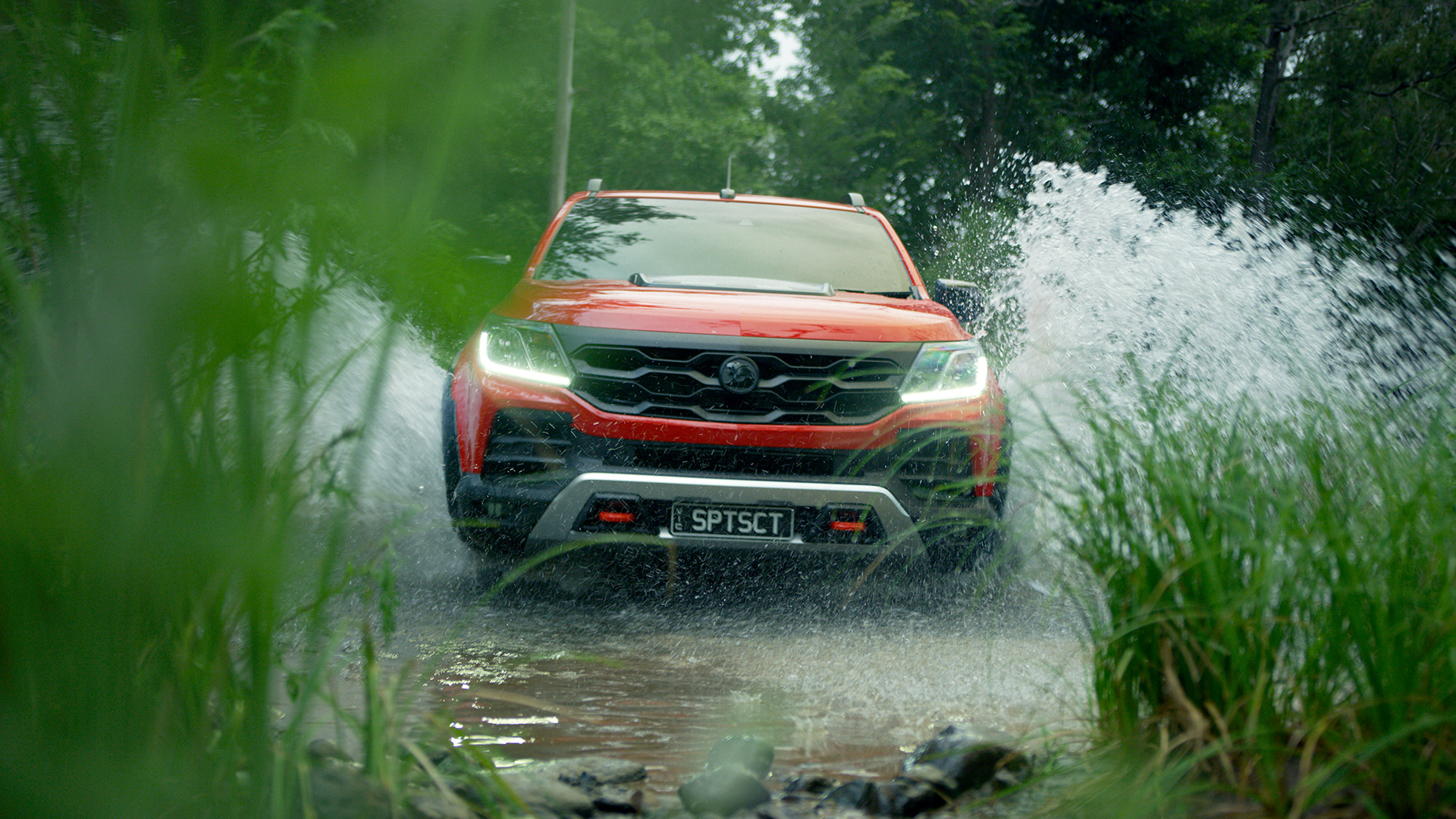 HSV / Colorado SportsCat